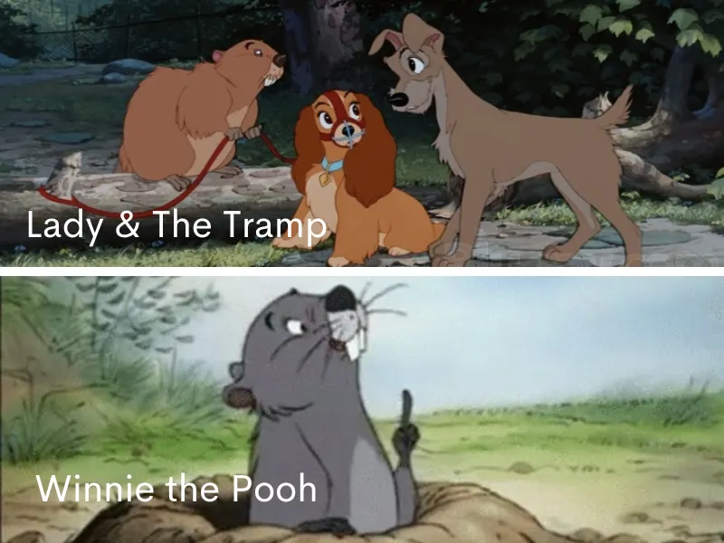 Lady & The Tramp Fun Facts - Pixie Dusted Journeys