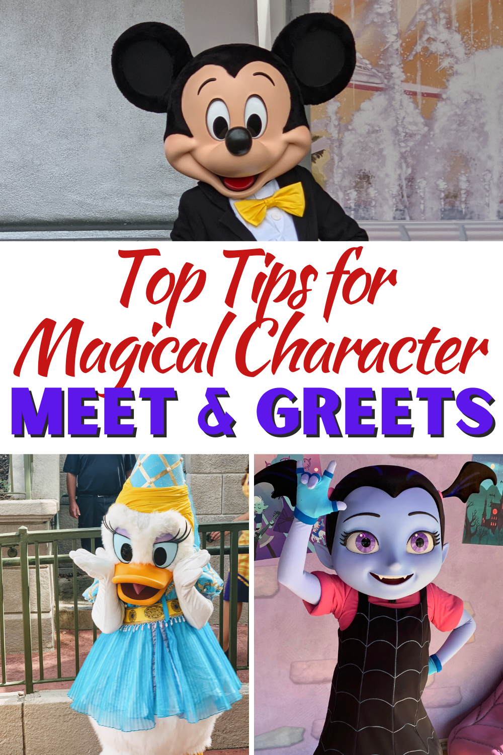 Top Tips for Magical Character Meet and Greets at Disney World - Pixie ...