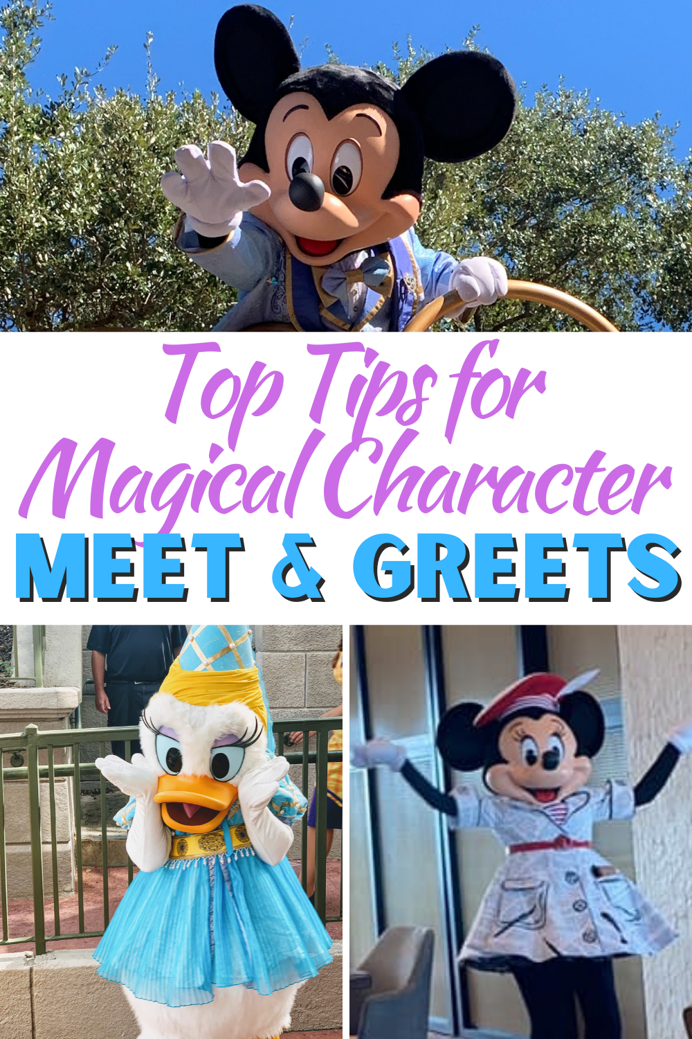 Top Tips for Magical Character Meet and Greets at Disney World - Pixie ...
