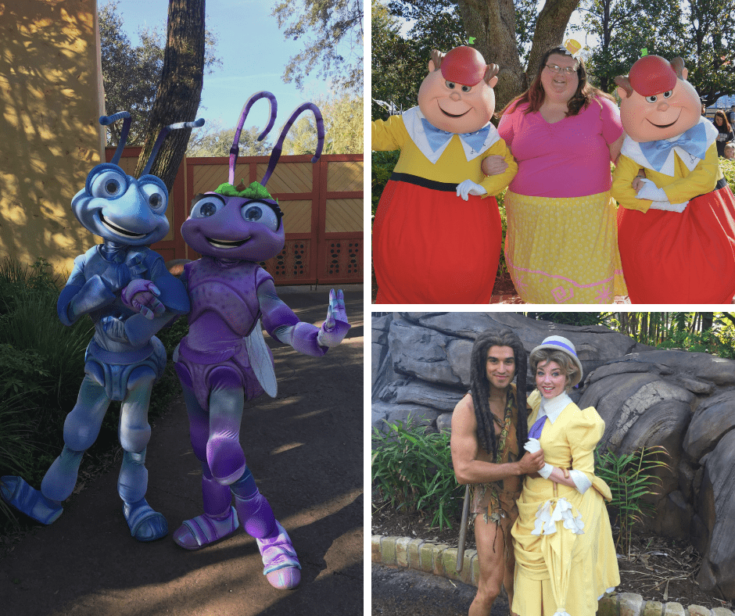 How to Meet Rare Disney Characters - Pixie Dusted Journeys