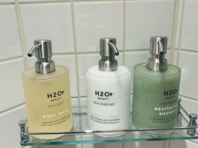 Essential Disney Cruise Packing List - Pixie Dusted Journeys