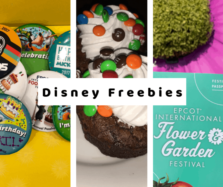 Disney World Park Freebies - Pixie Dusted Journeys