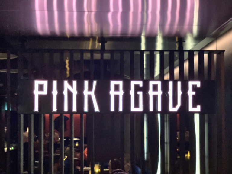 Virgin Voyages Pink Agave Review - Pixie Dusted Journeys